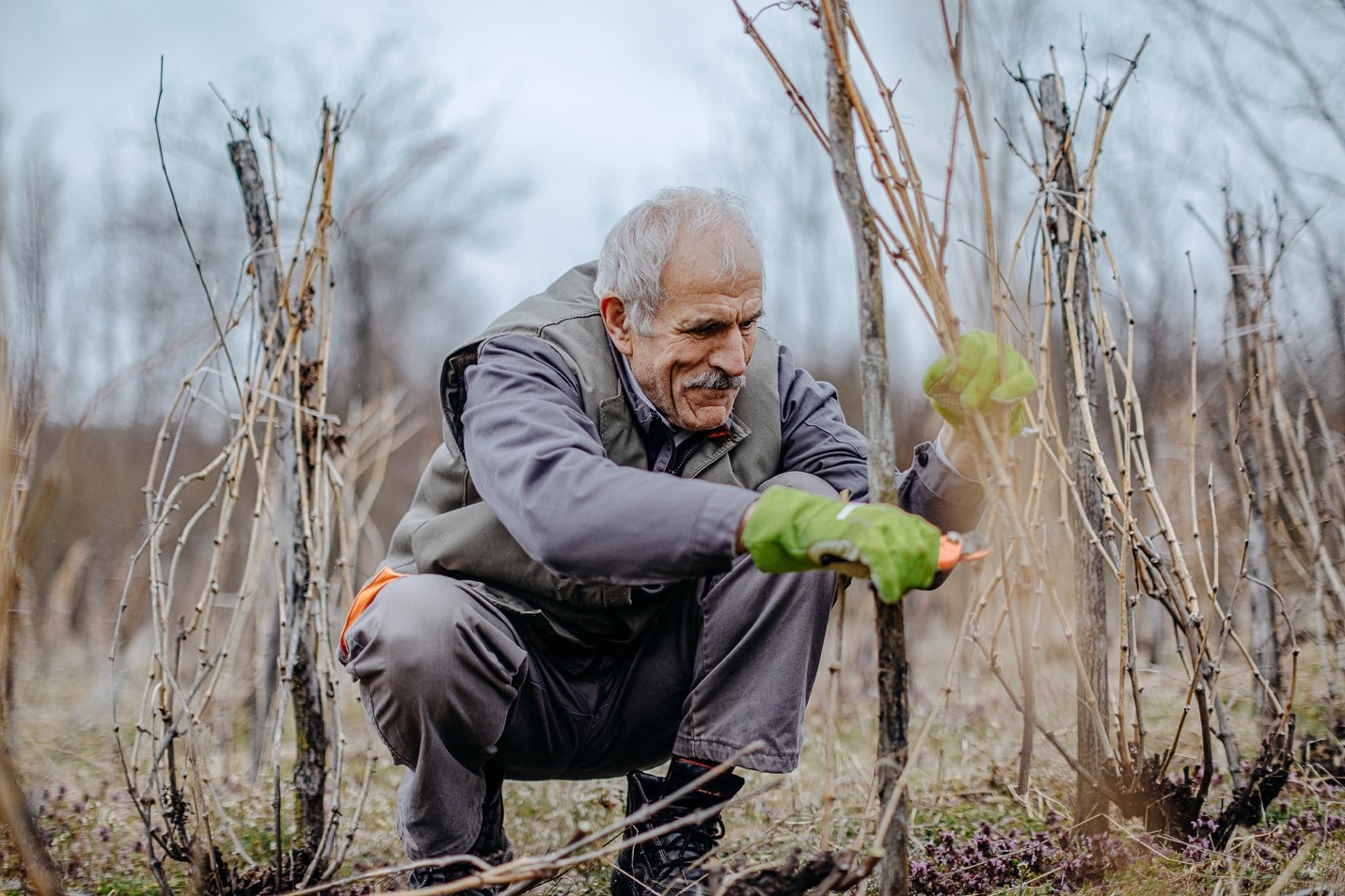 Prevent Gardening Hand & Shoulder Injuries: 6 Essential Tips